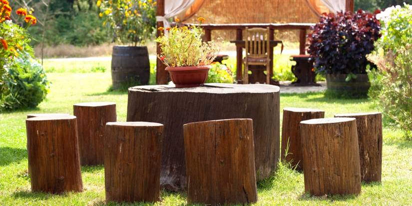 Transform Tree Stumps into Stunning Garden Features