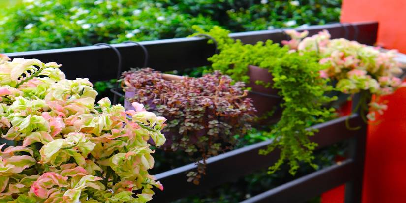 Tilted Flower Pots: A Whimsical and Creative Way to Elevate Your Garden