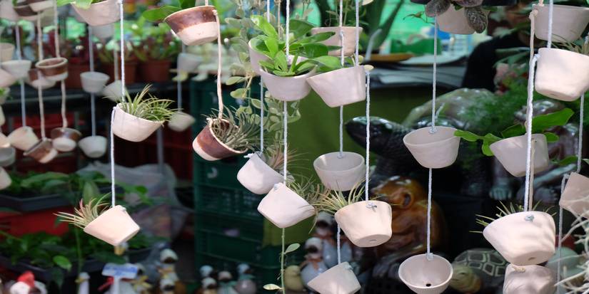 Tilted Flower Pots: A Whimsical and Creative Way to Elevate Your Garden