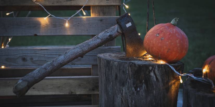 Transform Tree Stumps into Stunning Garden Features
