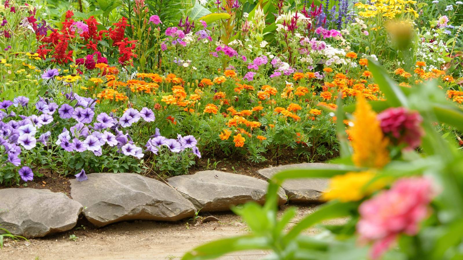 spring flower border ideas