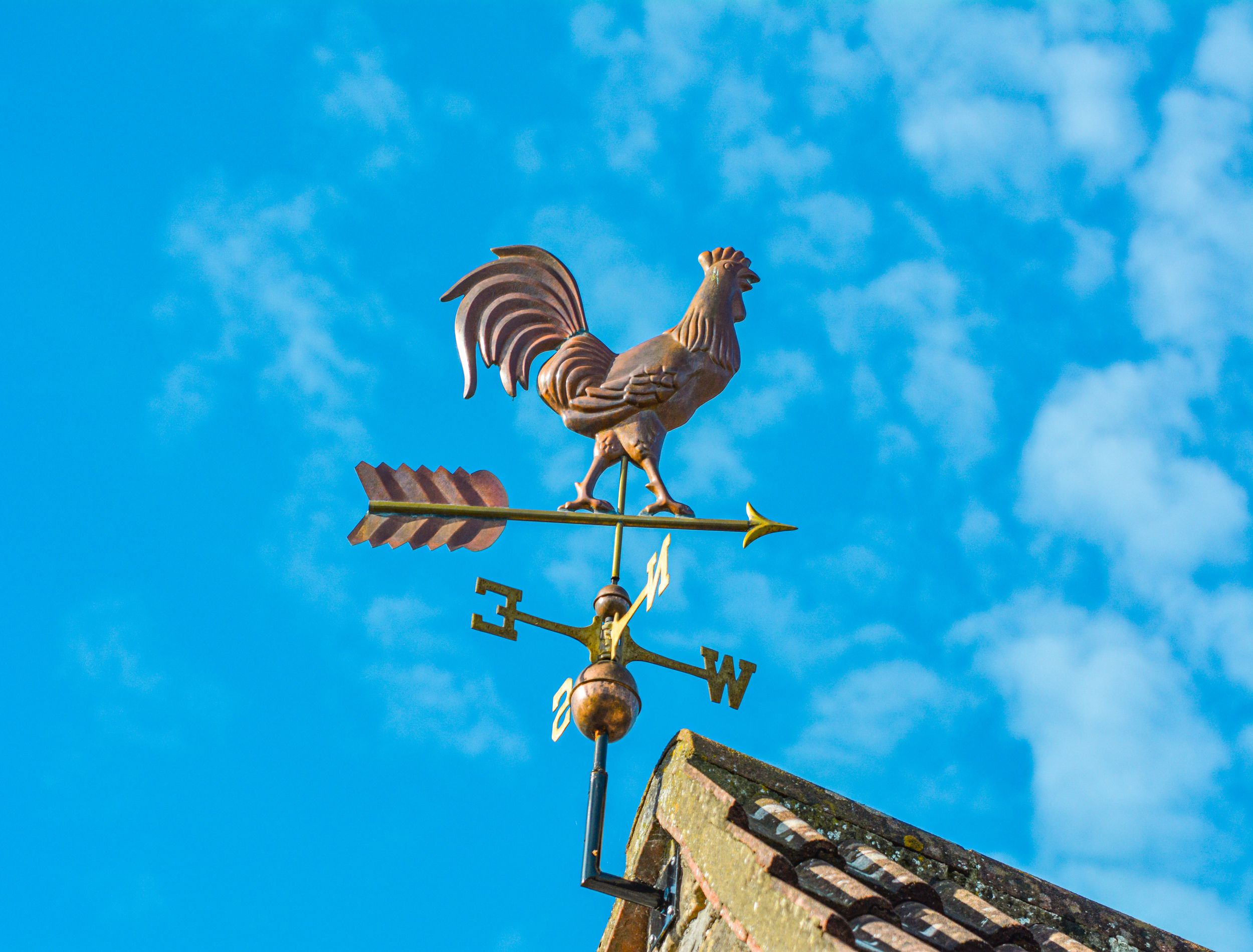 Weather Vanes: A Timeless Blend of Function and Outdoor Décor
