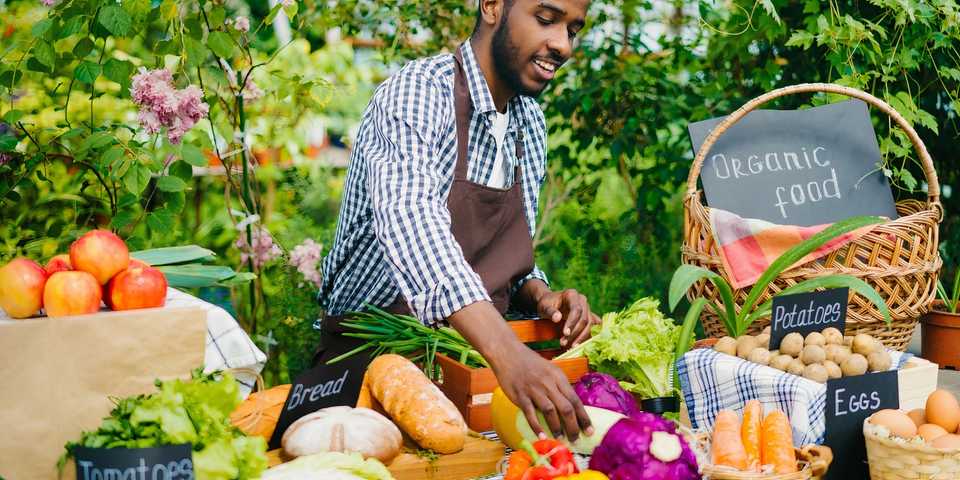 Farmers Market Shopping: Tips for Finding the Best Produce