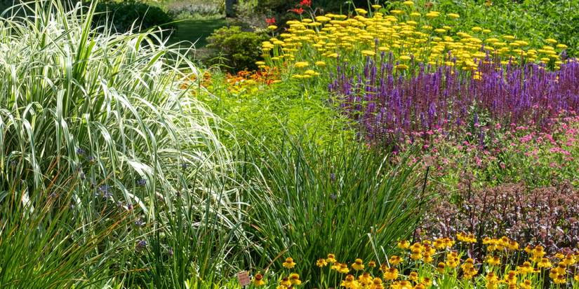 Master the Art of Planting Patterns: Design Dynamic, Sustainable Gardens