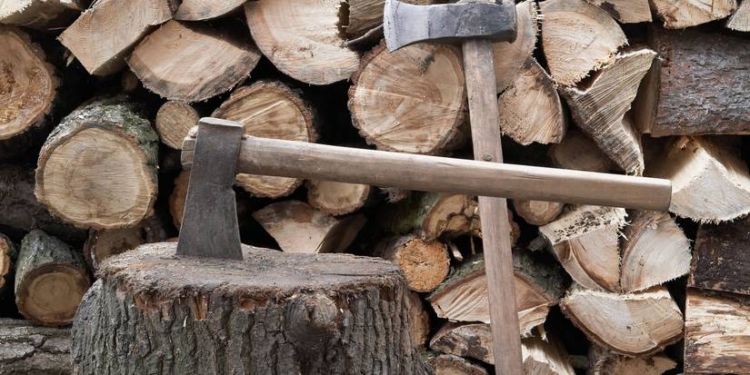 Got a Tree Stump? 6 Creative DIY Projects to Give It New Life