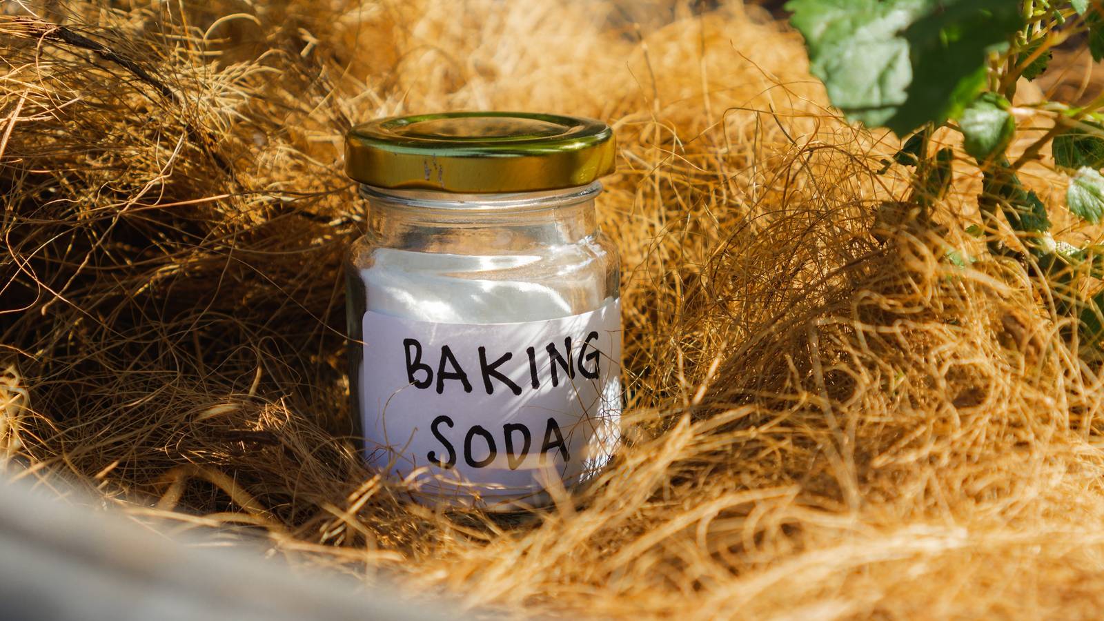 Pro Baking Soda Hacks: Simple Steps for Stunning Results