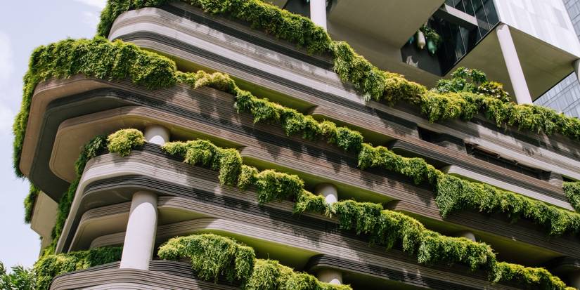 Brutalist Gardening: Create a Bold, Modern Outdoor Space