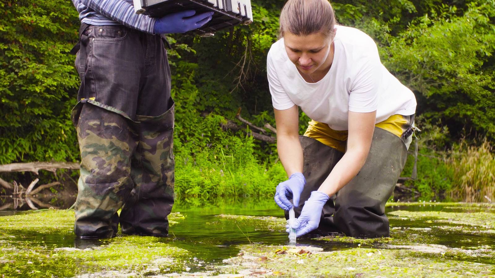 Love the Outdoors? Try These 6 Cool Nature Jobs