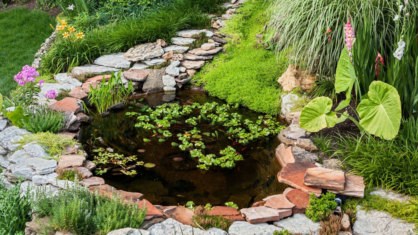How to Build a Stunning Front Yard Pond That Enhances Curb Appeal