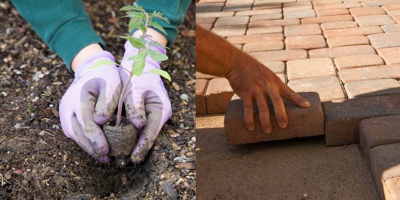 Gardening vs. Landscaping: Backyard Ideas for Your Outdoor Space