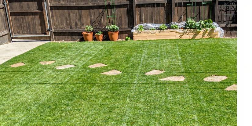 Your Barefoot Guide to the Softest Lawn Grasses