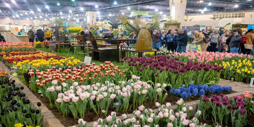 The Philadelphia Flower Show Is a Celebration of Gardening