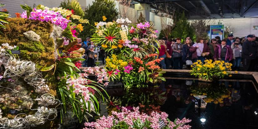 The Philadelphia Flower Show Is a Celebration of Gardening