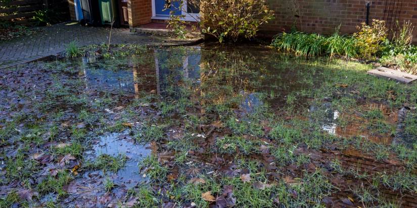 The Hidden Dangers Lurking in Backyards of Homes For Sale