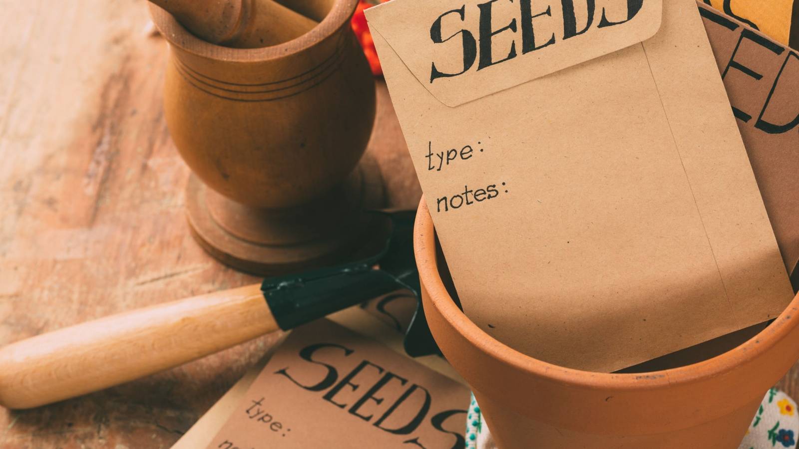 Build a Seed Library That Grows With You
