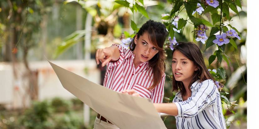 Hiring a Pro vs. DIY for Your Dream Backyard Makeover