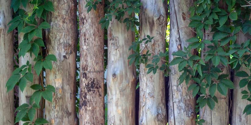 Creative Ways to Use Wood Piles for Rustic Garden Decor