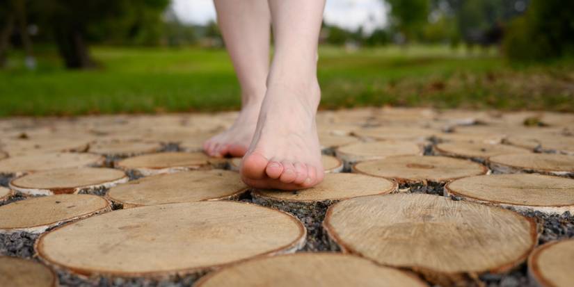 Creative Ways to Use Wood Piles for Rustic Garden Decor