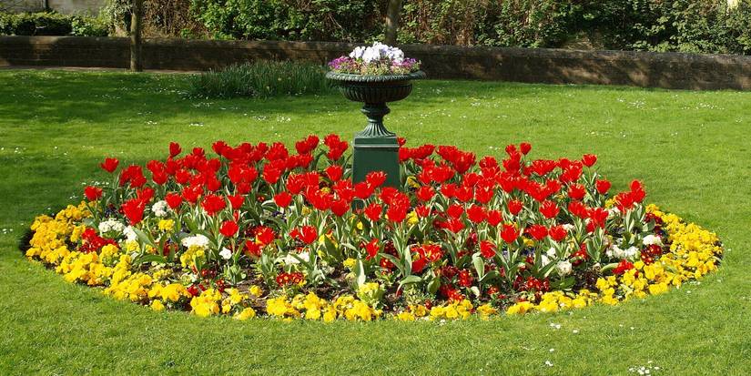Design a Garden Masterpiece: Planting Flowers in Fun Shapes