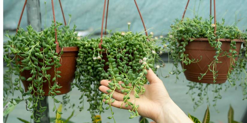 DIY String of Pearls Decor for Trendy Spaces
