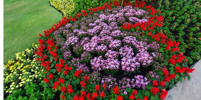 Design a Garden Masterpiece: Planting Flowers in Fun Shapes
