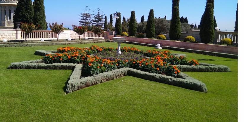 Design a Garden Masterpiece: Planting Flowers in Fun Shapes