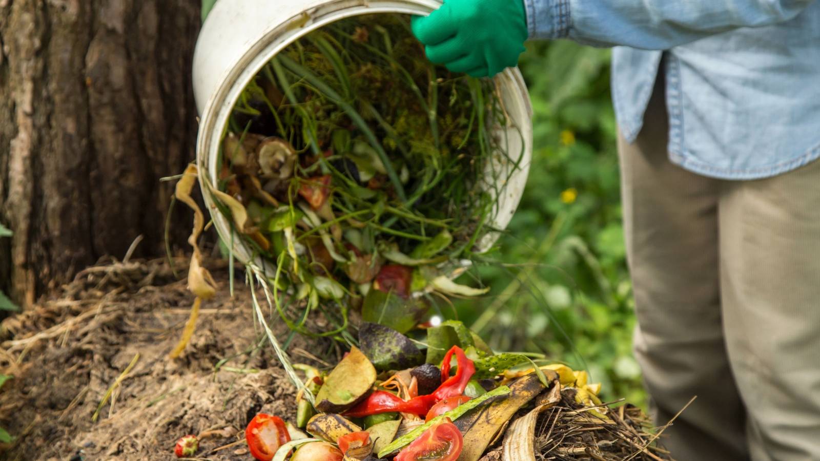Hot or Cold Composting? Choose What Works for Your Space