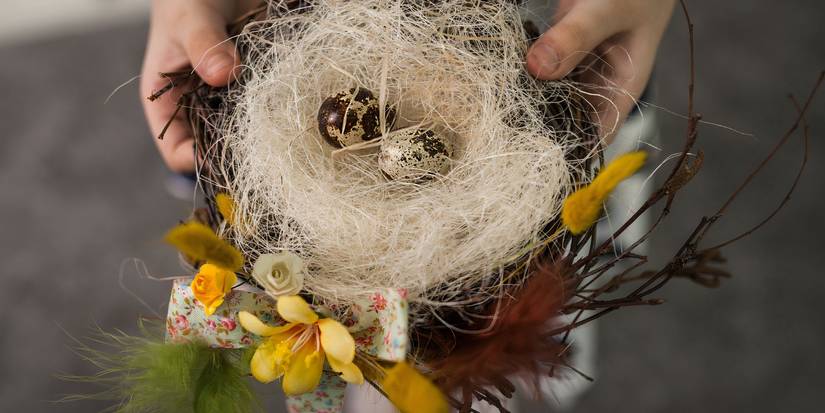 Fresh Spring Decorations: Creative Ways to Use Nests in Your Home