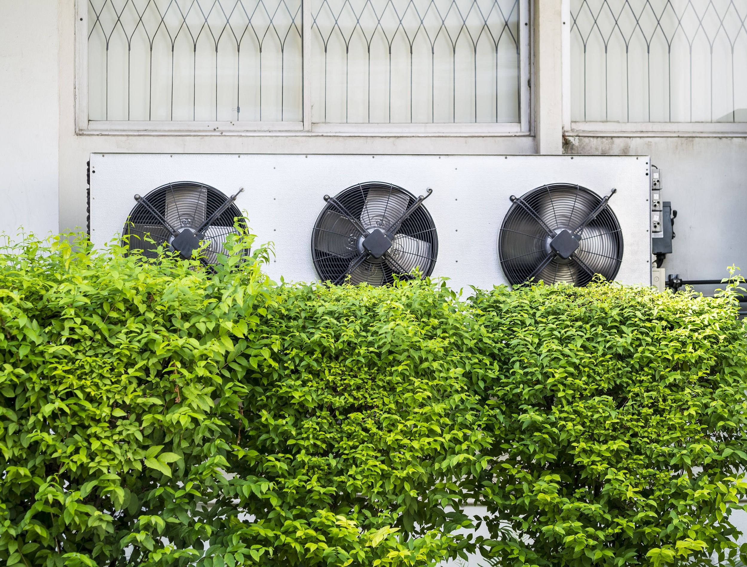 Safe Landscaping Plants for AC Units That Keep Airflow Clear