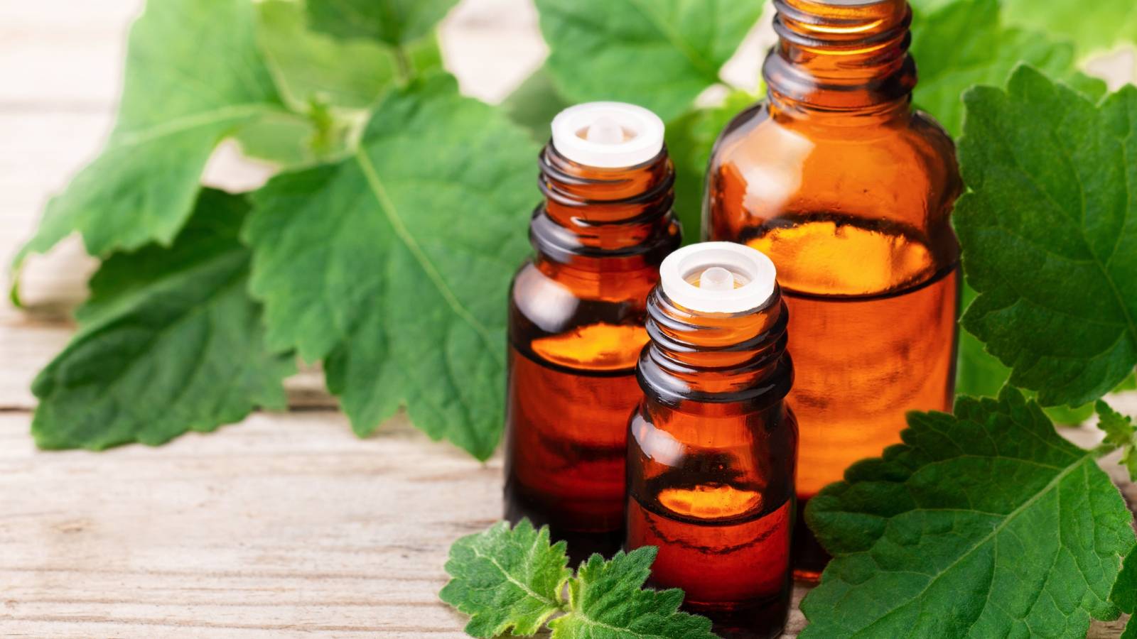 The Benefits and Uses of Patchouli Oil: A Complete Guide