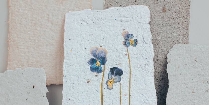 Pressed Flower Magic: Turn Petals Into Beautiful Everyday Keepsakes