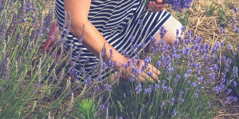 How to Gather Blooms the Right Way