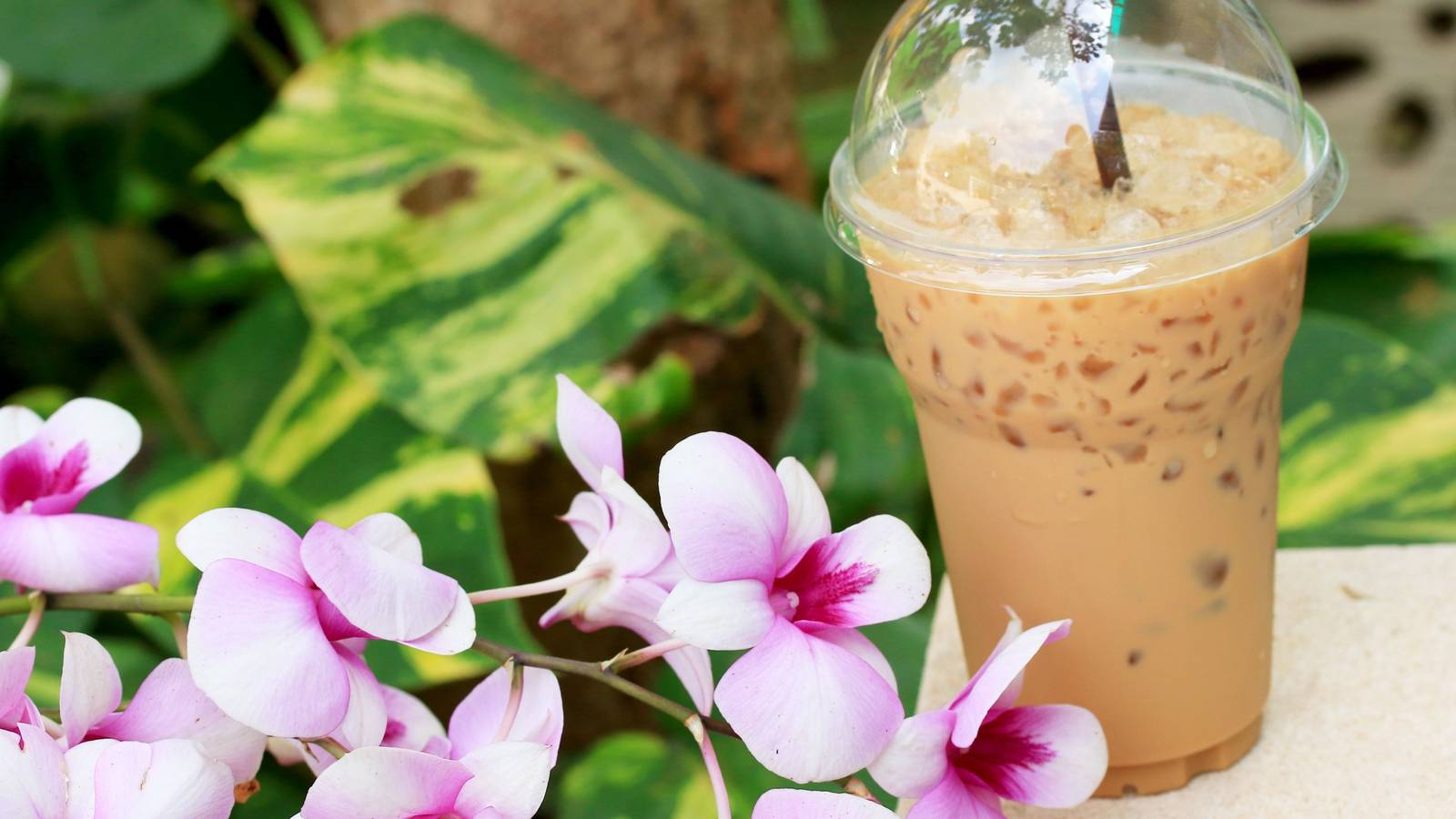 Transform Your Iced Coffee with These 5 Stunning Edible Blooms