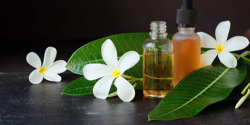 The Benefits and Uses of Patchouli Oil: A Complete Guide