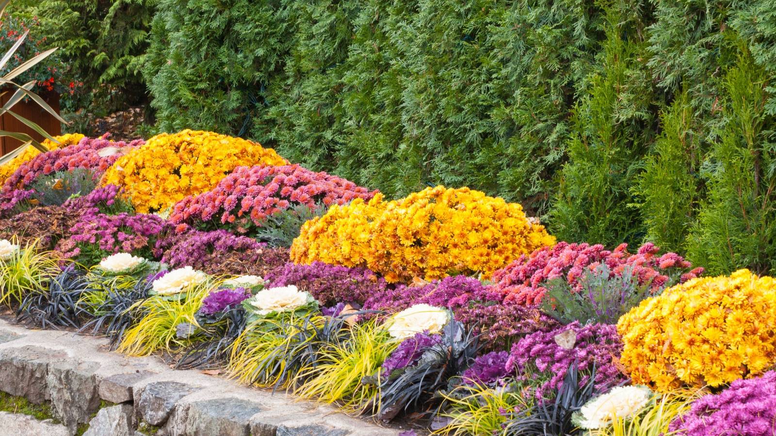 Master the Art of Planting Patterns: Design Dynamic, Sustainable Gardens