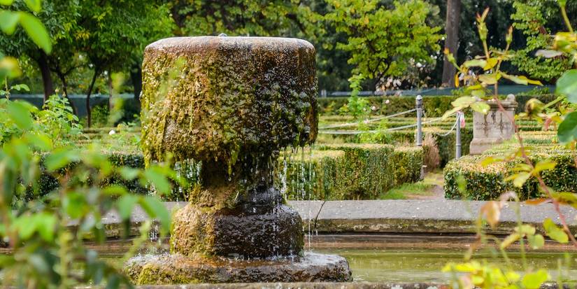 5 Historic Gardening Trends That Are Beautiful but Impractical