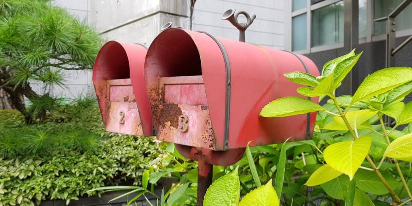 Transform Your Mailbox with Stunning Plant Island Ideas