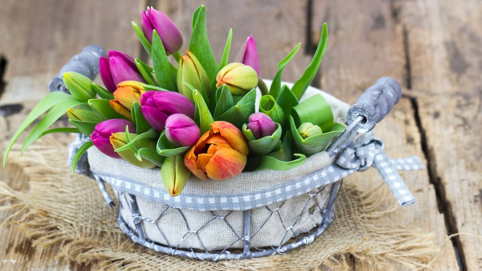 Easter Basket Ideas: Vibrant Potted Spring Flowers