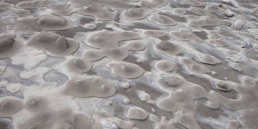 How Volcanic Ash Impacts Gardening and How to Prepare for Ashfall