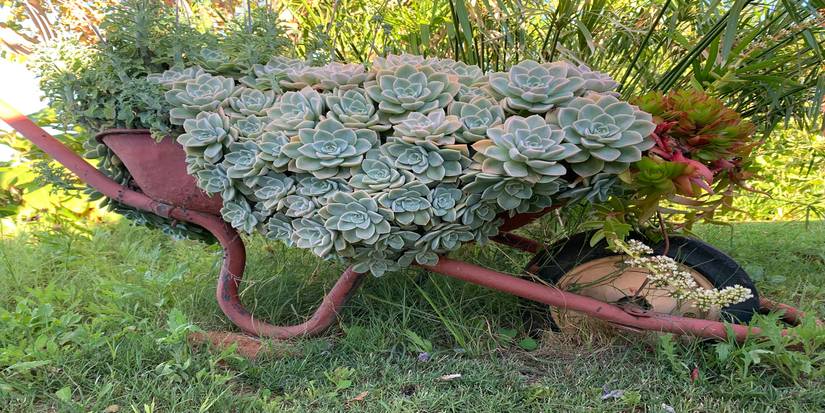 How to Design a Rustic Garden with Wheelbarrows and More