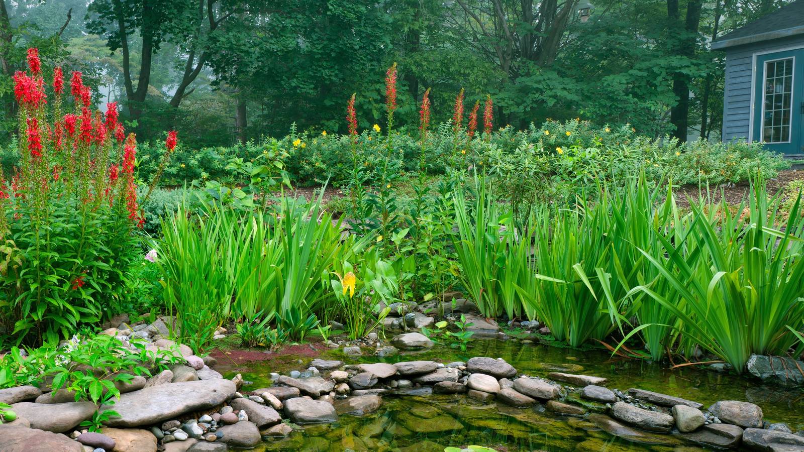 6 Ways to Create a Relaxed, Lived-In Backyard Garden