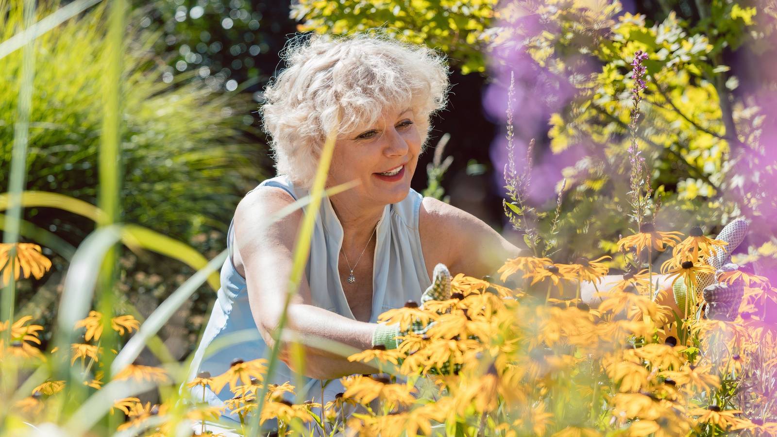 Senior-Safe Gardening: 6 Backyard Ideas to Start