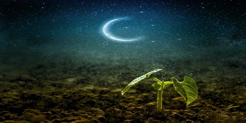 How Scientists Plan to Grow Food on the Moon