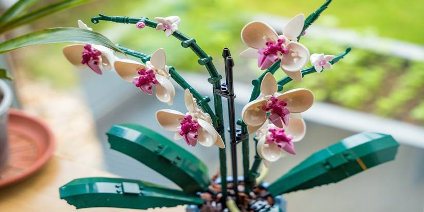 Why Lego Flowers Beat Real Bouquets Every Time