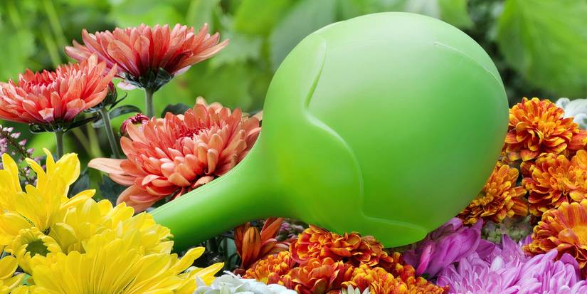 Easy Plant Care While on Vacation Using a Plant Nanny