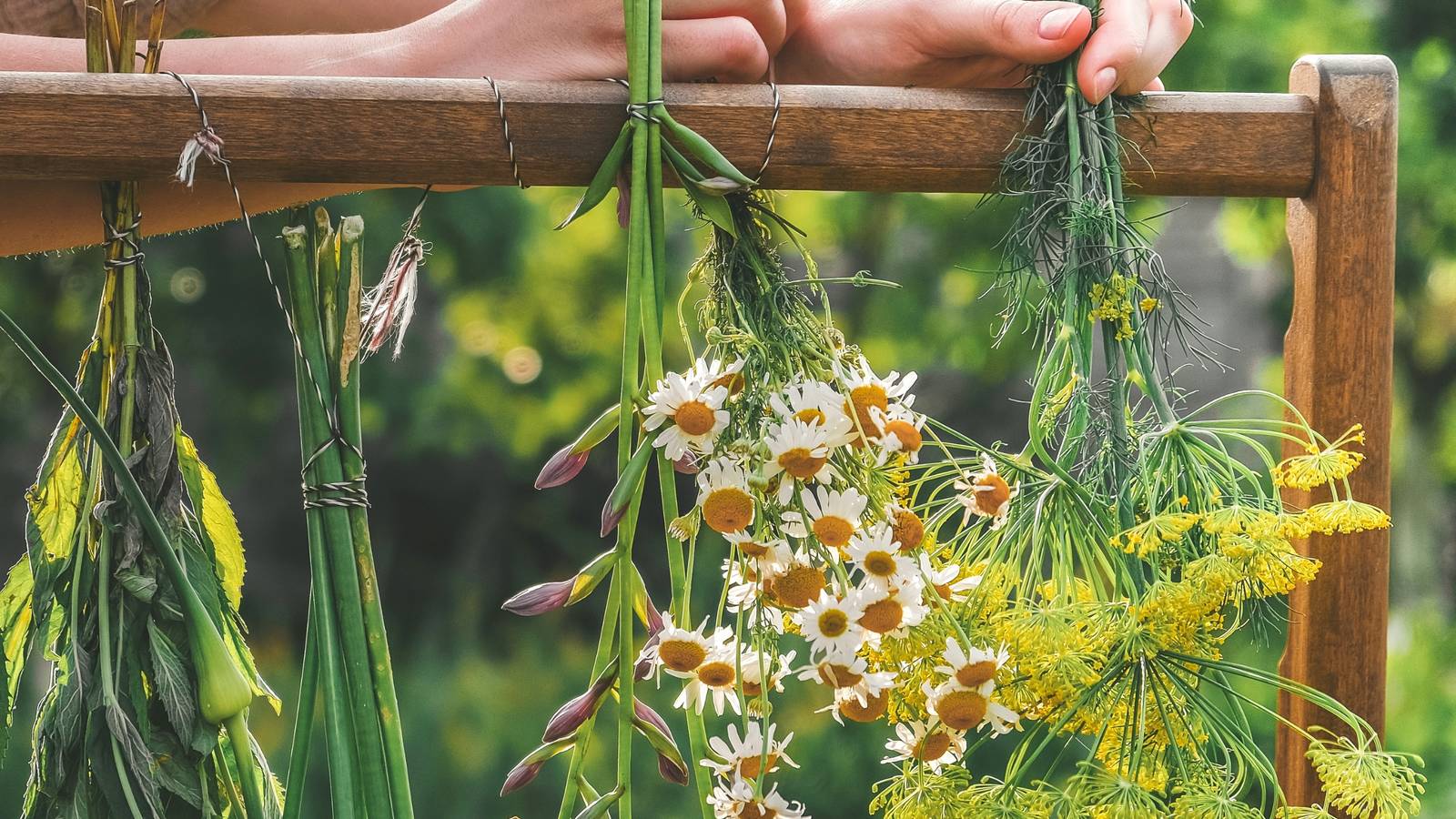 5 Easy-to-Use Herbs With Healing Properties