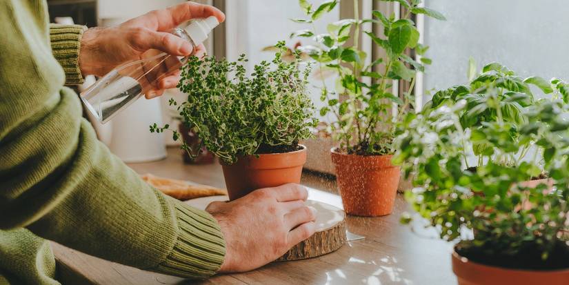 Garden-Fresh Nacho Toppings That Bring Bold Flavor to Your Plate