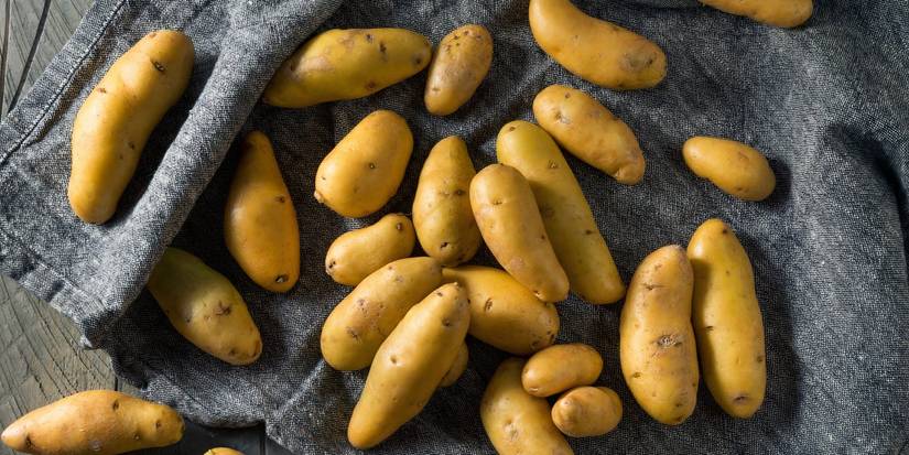 6 Tubers to Grow for Potato Salad