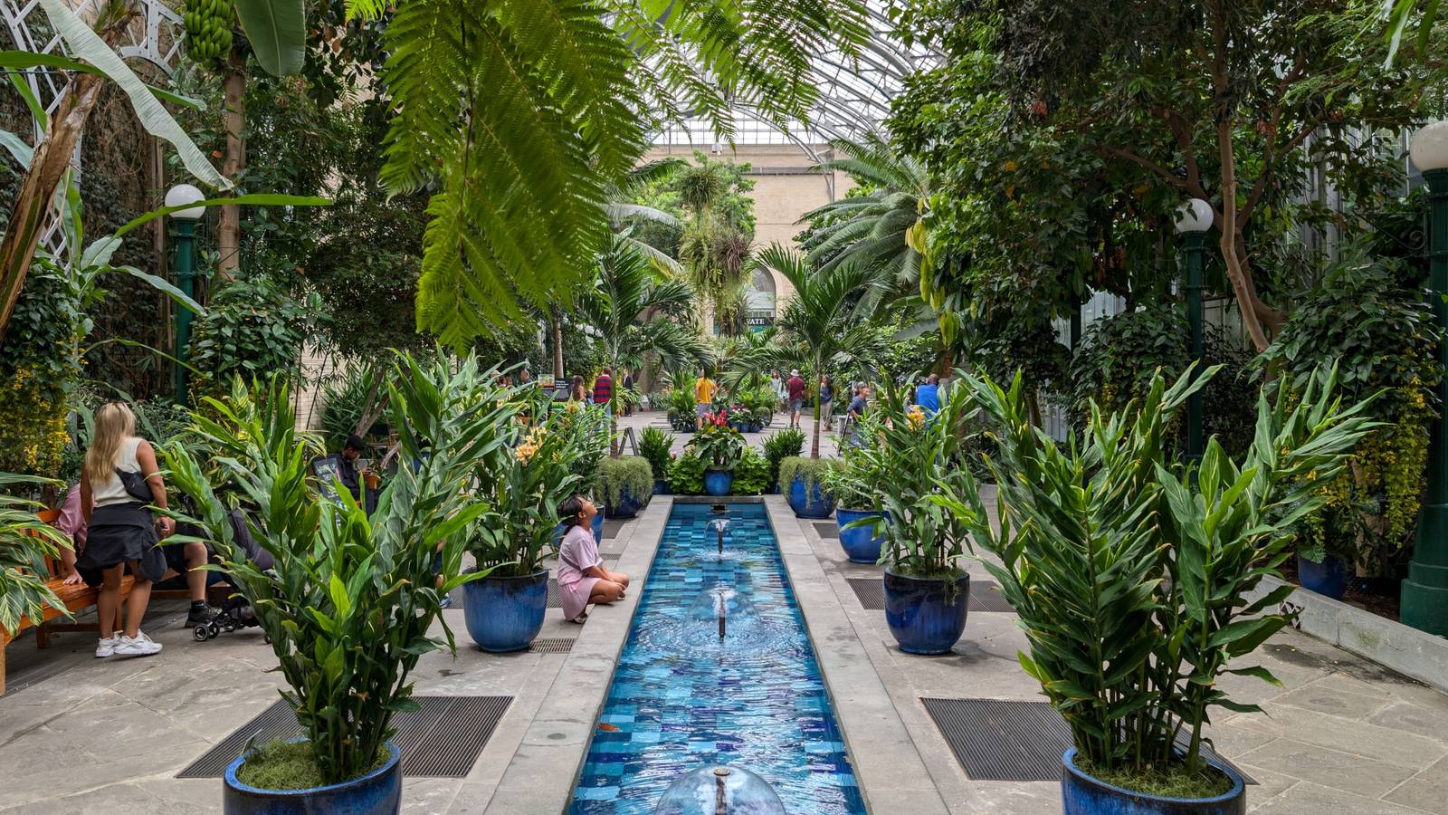Discover 5 Important Plant Collections at the United States Botanic Garden