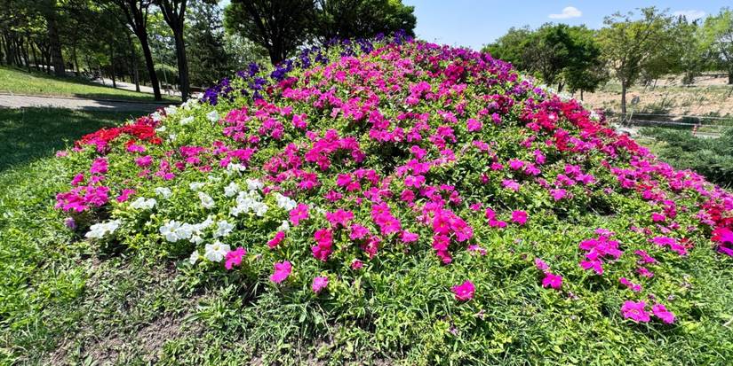 Design Beautiful Built Up Garden Beds With Raised Mounds